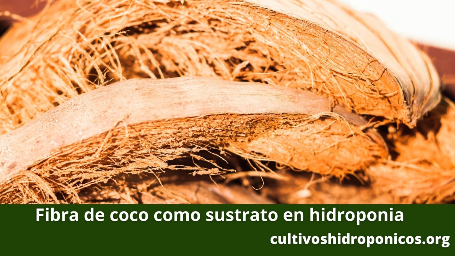 Fibra de Coco como Sustrato en Hidroponía - Cultivos Hidropónicos